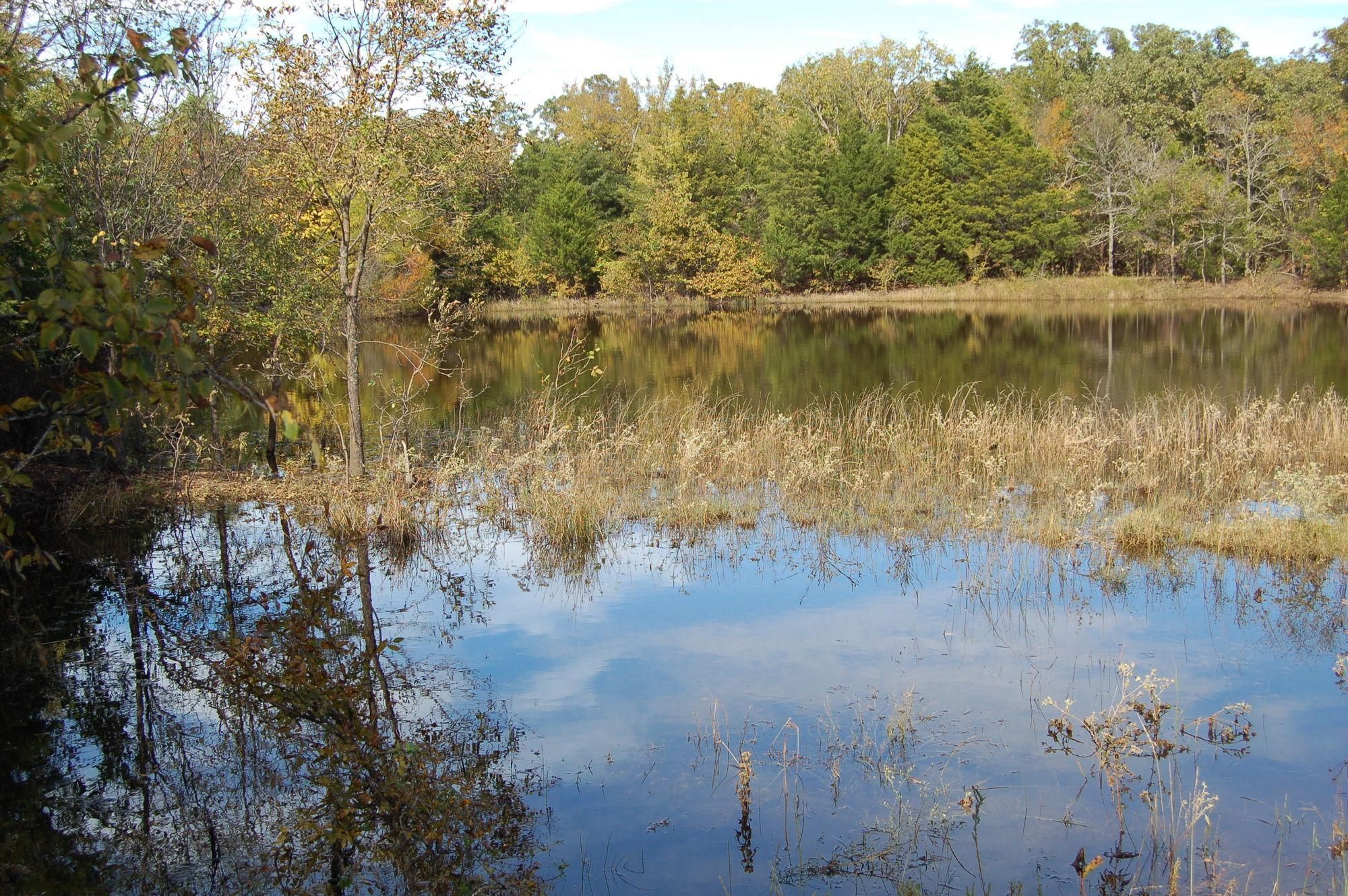 East of Coalgate off Highway 43., Coalgate, OK 74525 | LandWatch