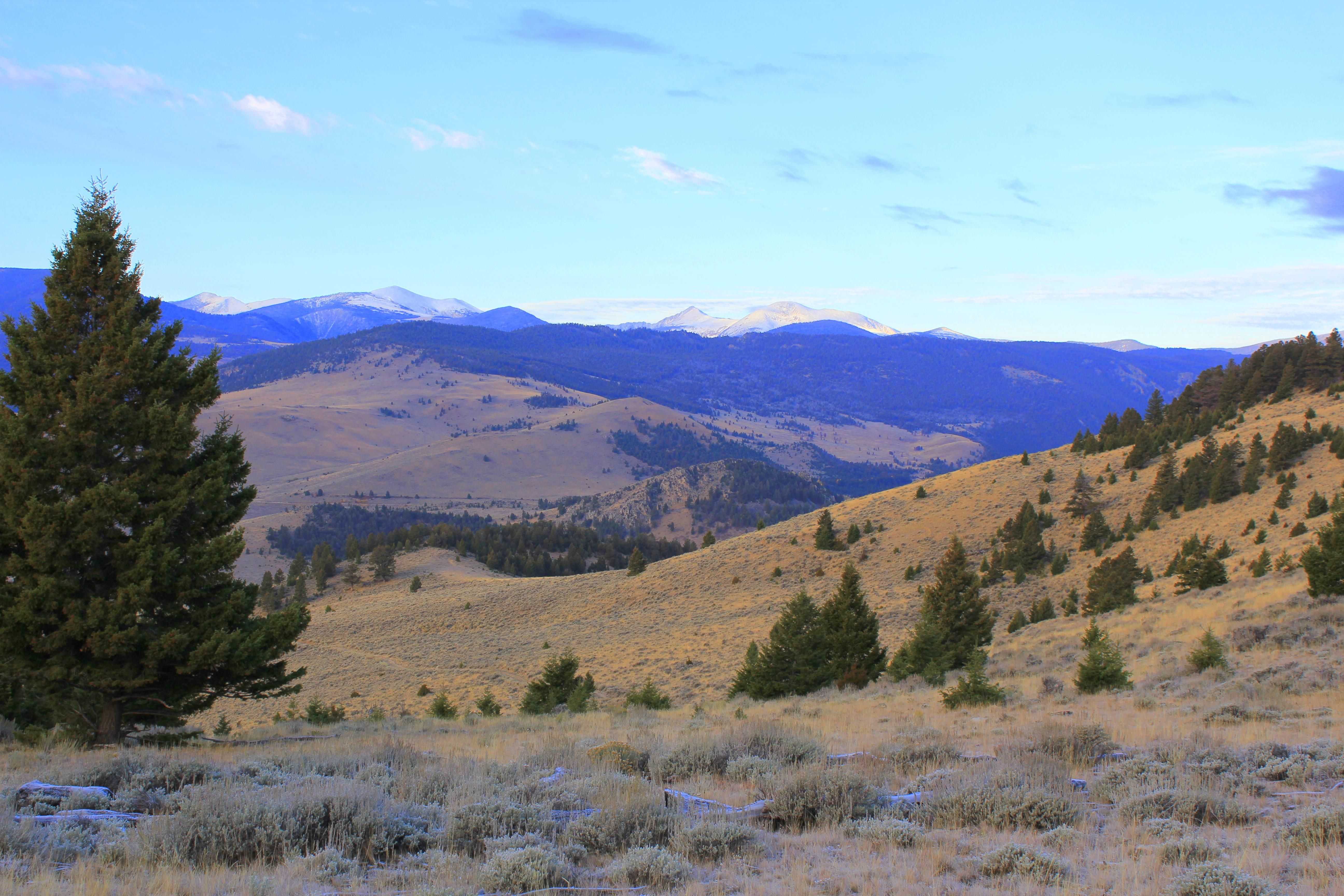 160 acres in Melrose, MT, 59743 | LandWatch