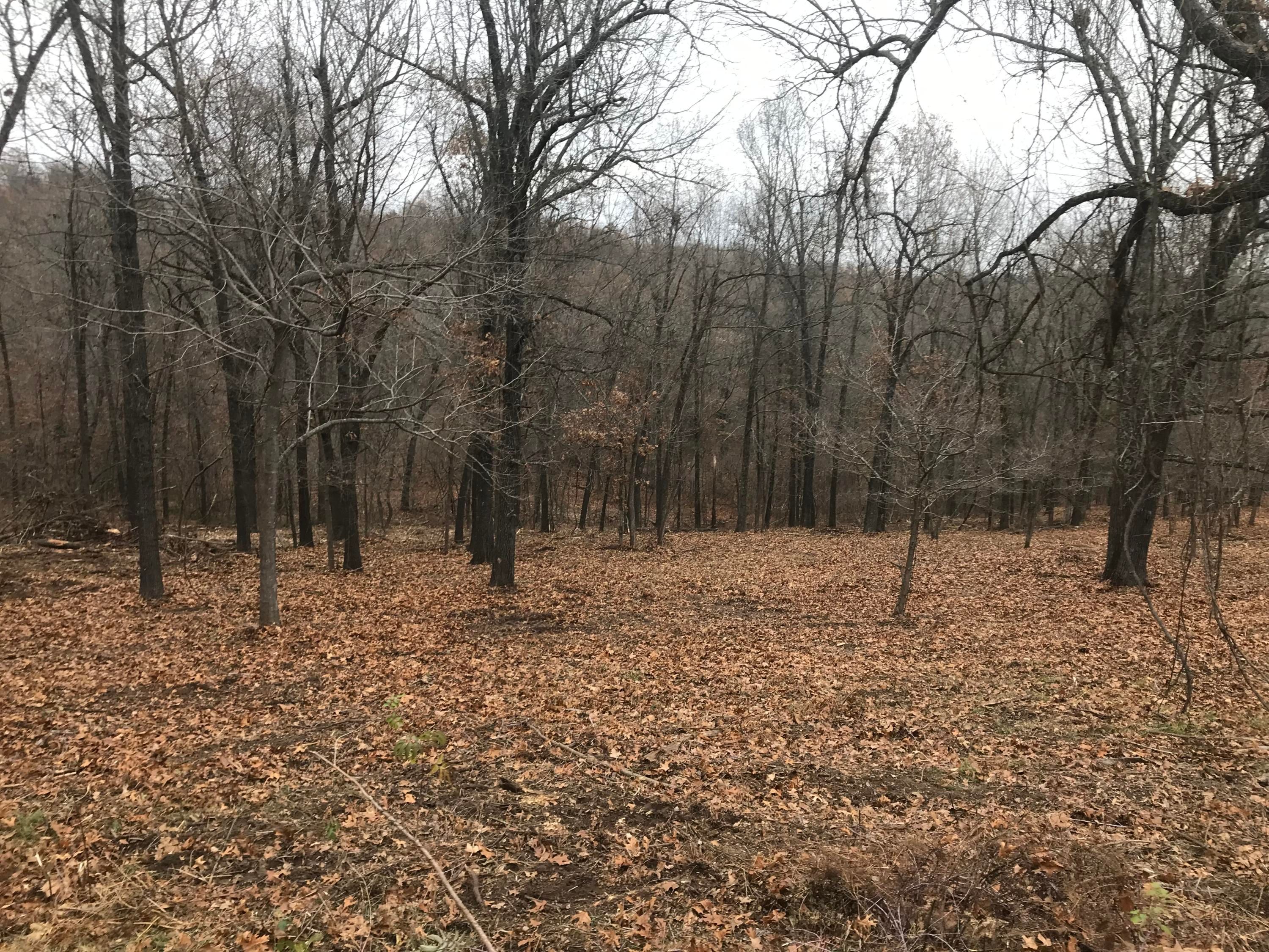 Omaha, Boone County, AR Undeveloped Land, Homesites for sale Property ...