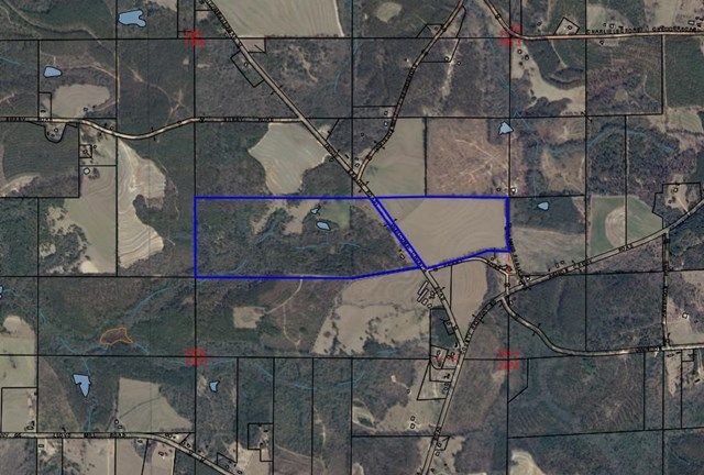 Red Level, Covington County, AL Farms and Ranches for sale Property ID ...