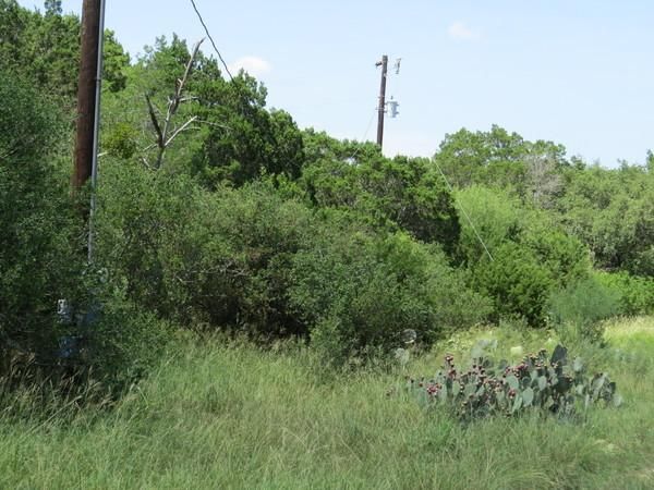 Rocksprings, Edwards County, TX Farms and Ranches, Recreational ...