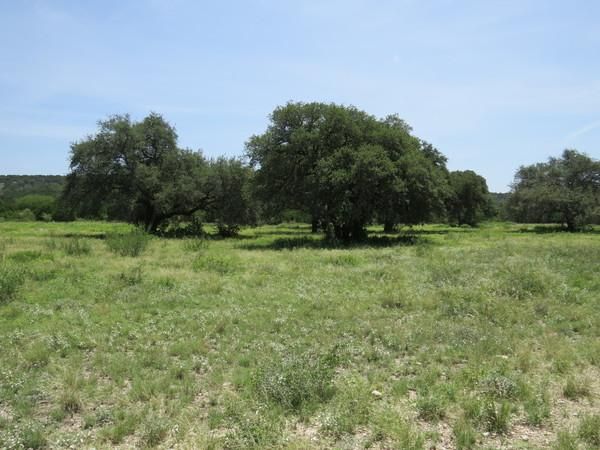 Rocksprings, Edwards County, TX Farms and Ranches, Recreational ...