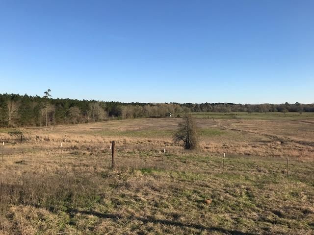 2492 FM2501, Apple Springs, TX 75926 | MLS: 57803 | LandWatch