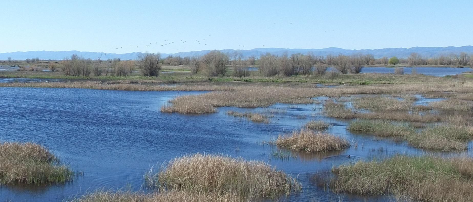 Commercial Street, Princeton, CA 95970 | LandWatch