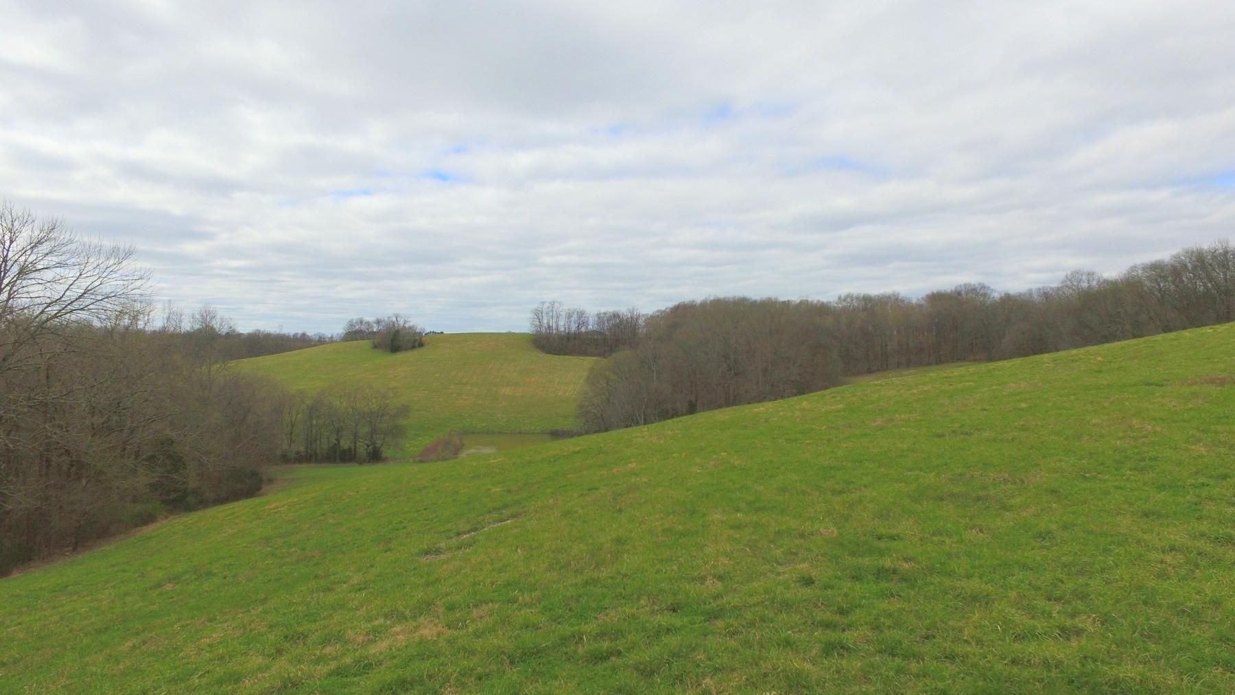 2699 New Highway 7, Santa Fe, TN 38482 | MLS: 2019476 | LandWatch