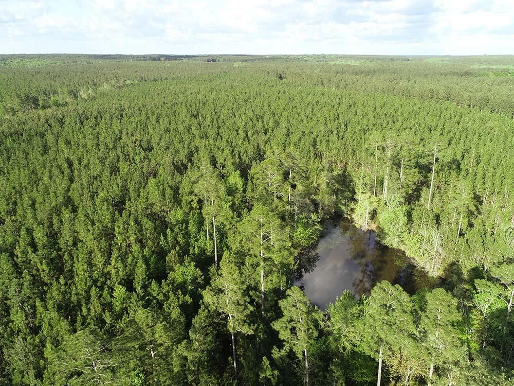 Oilwell Road, Ovett, MS 39464 | MLS: JO366 | LandWatch