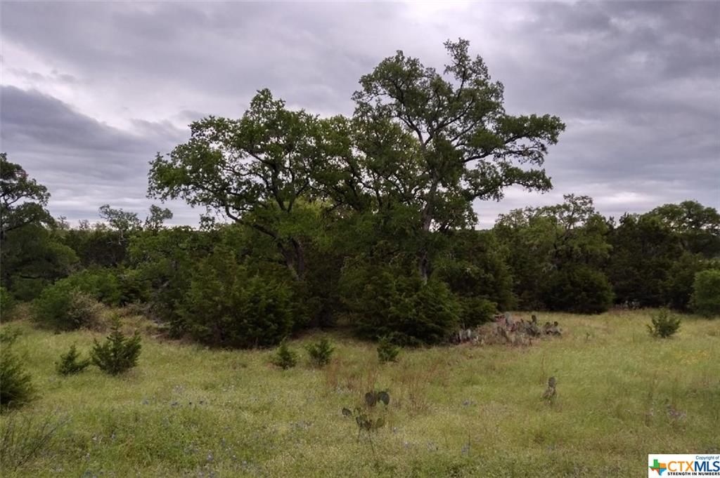 Spring Branch, Comal County, TX Undeveloped Land for sale Property ID ...