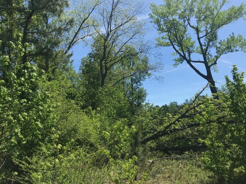 0 Epps Rd, Tract B, New Zion, SC 29111 | LandWatch