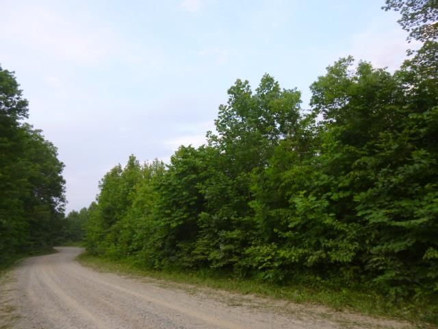 Cullen, Charlotte County, VA Undeveloped Land for sale Property ID ...