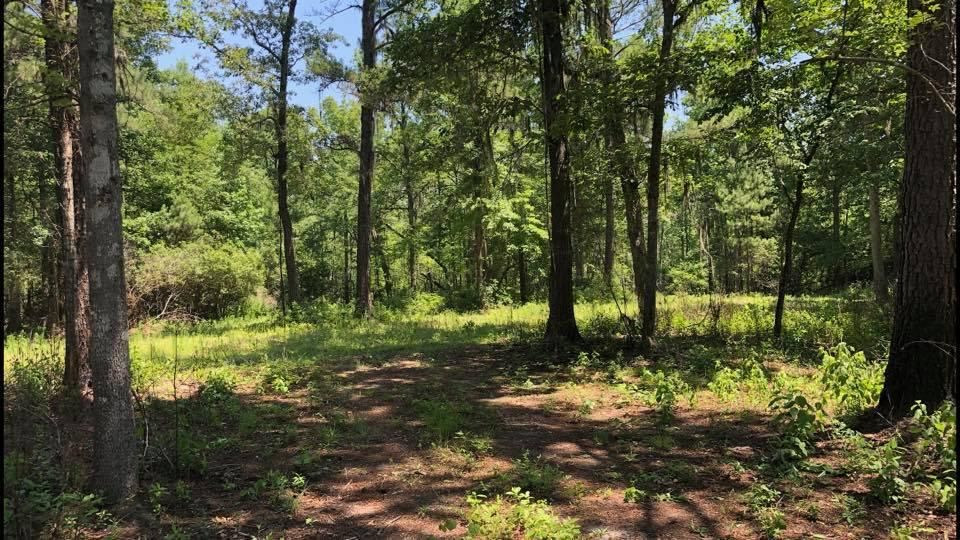 Salem Road, New Zion, SC 29111 | MLS: 472701 | LandWatch