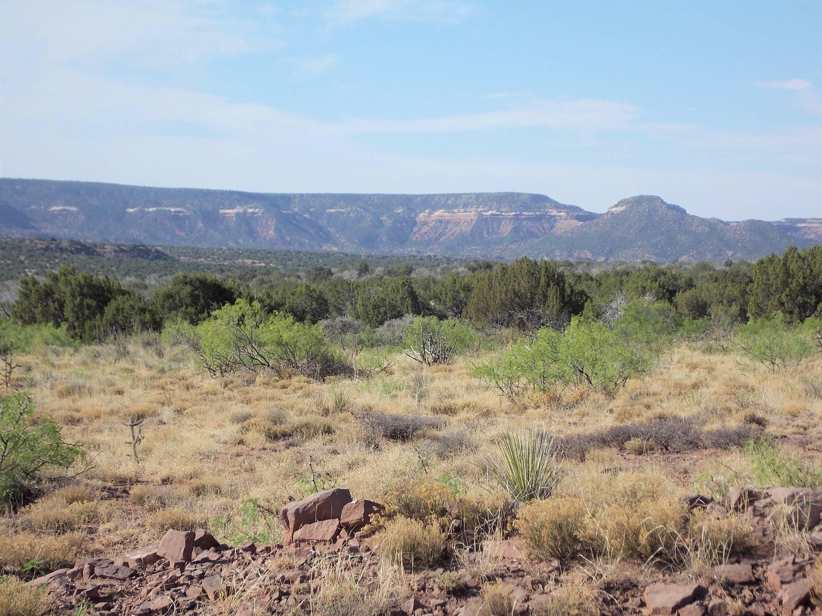 TBD Bull Canyon Loop, Newkirk, NM 88417 | LandWatch