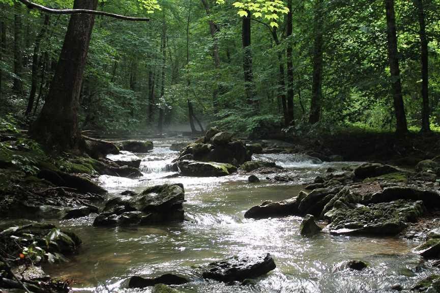 Greer Ridge Road, Moss, TN 38575 | LandWatch