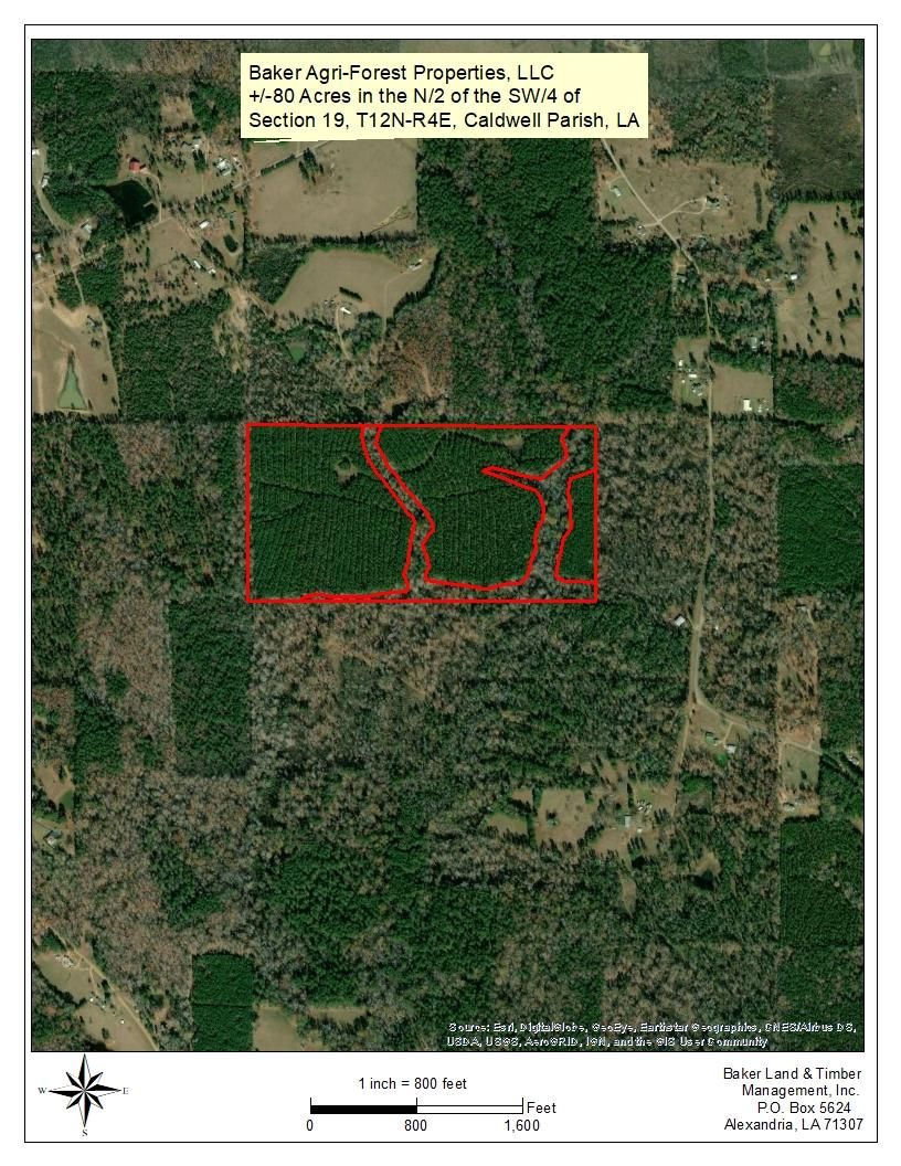 80 acres in Grayson, LA, 71435 | LandWatch