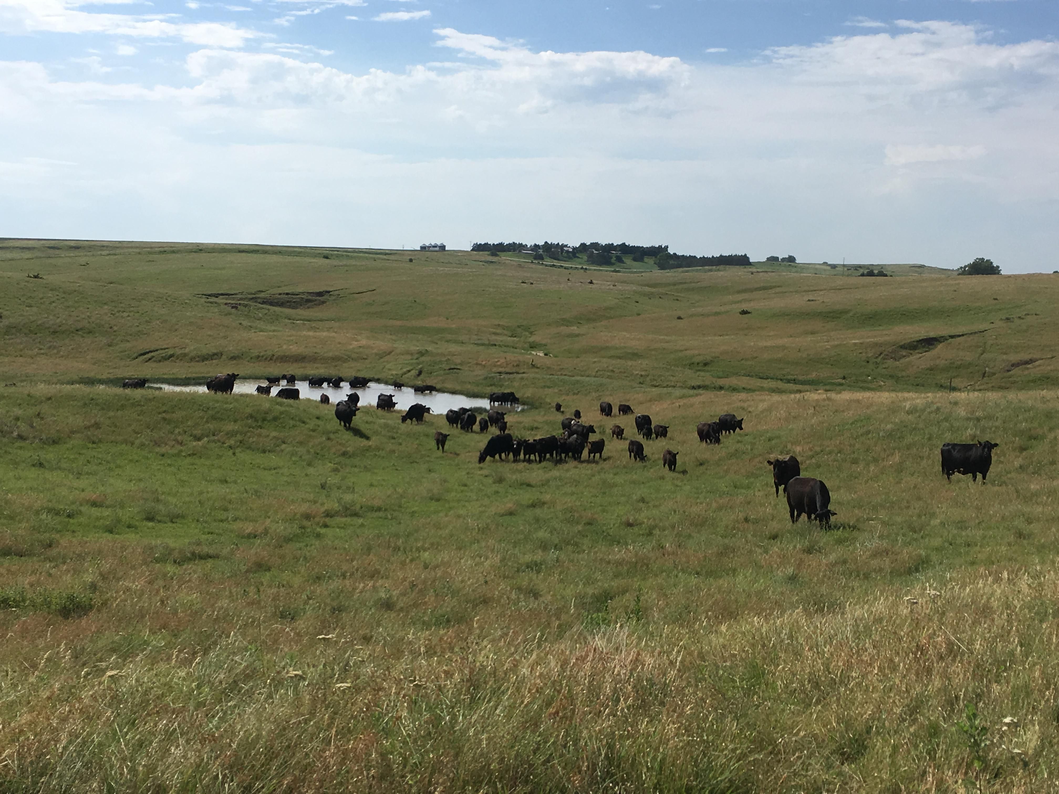 961.41 acres in Riverton, NE, 68972 | LandWatch