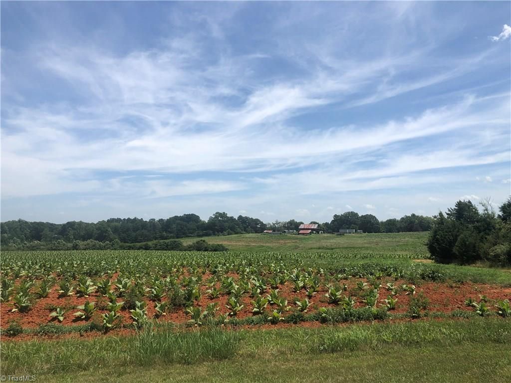 Sandy Ridge, Stokes County, NC Undeveloped Land for sale Property ID ...
