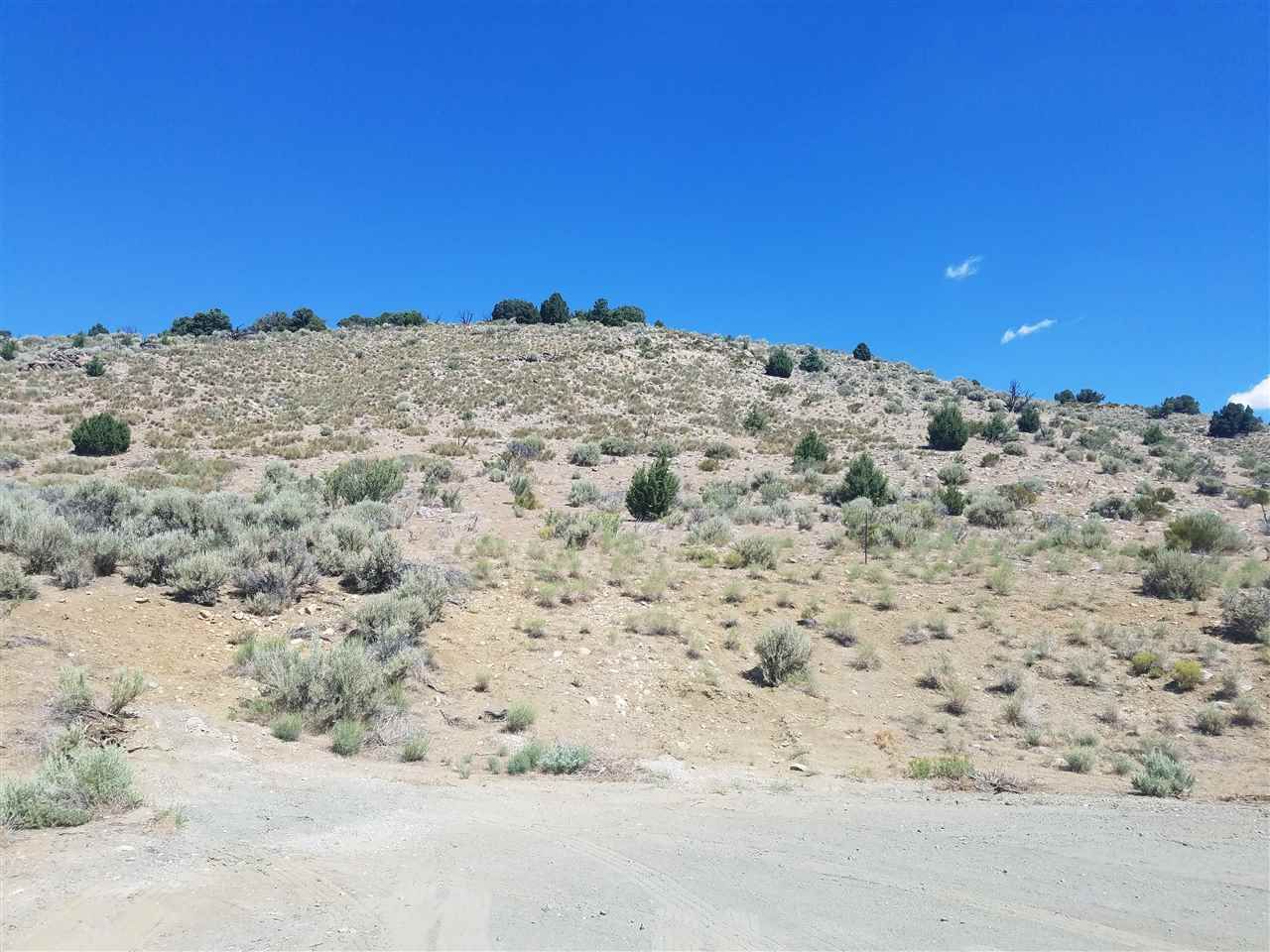 Reno, Washoe County, NV Undeveloped Land for sale Property ID ...