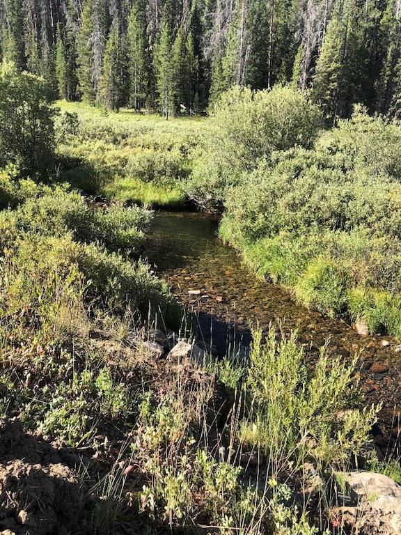 80 acres in Rand, CO, 80473 | LandWatch