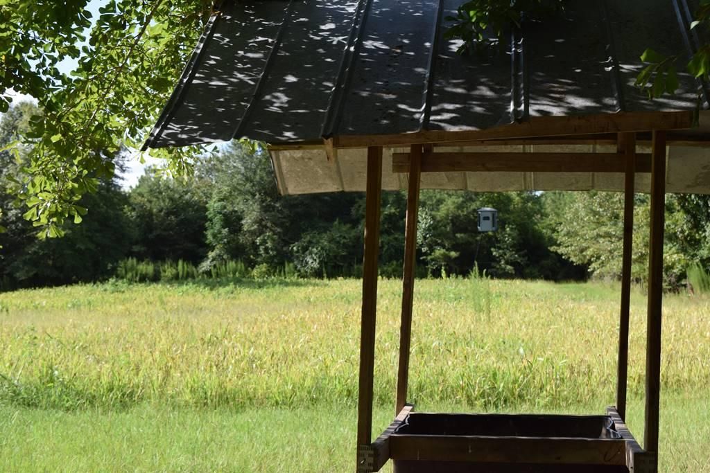 194 acres in Rupert, GA, 31081 | LandWatch