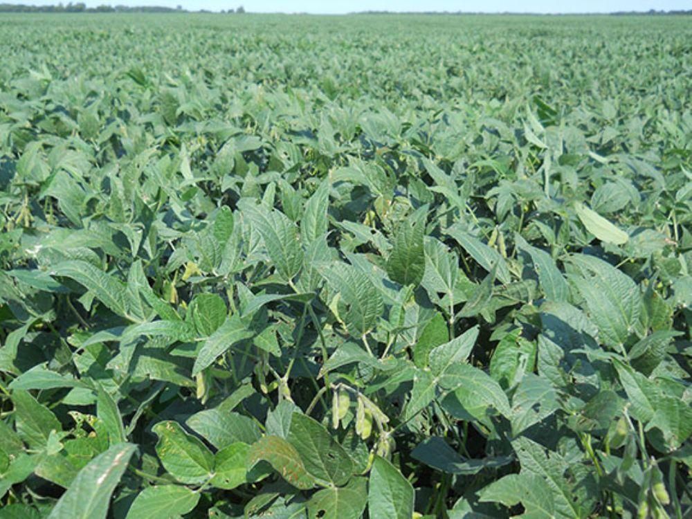 Morganville, Clay County, KS Farms and Ranches for sale Property ID ...