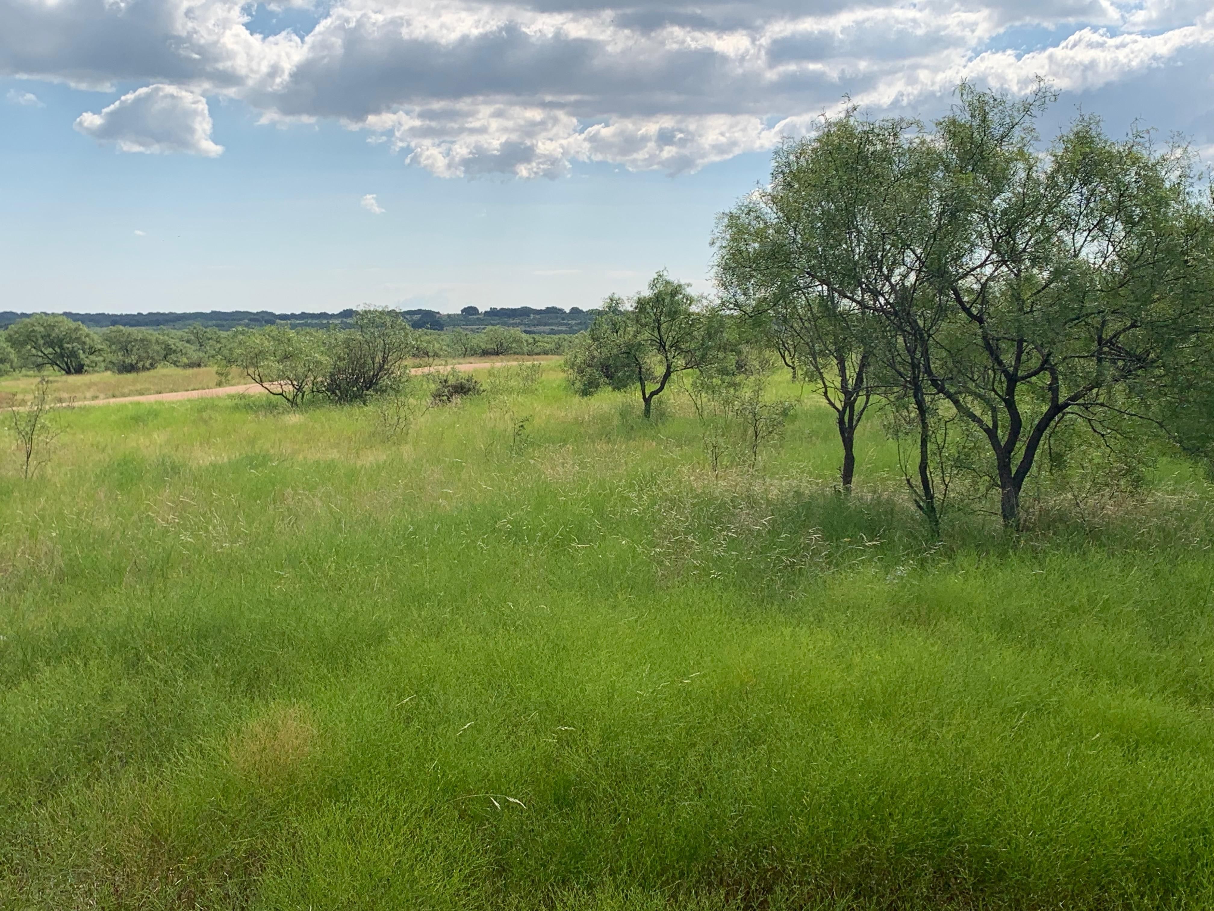 Menard, Menard County, TX Farms and Ranches, Recreational Property for ...