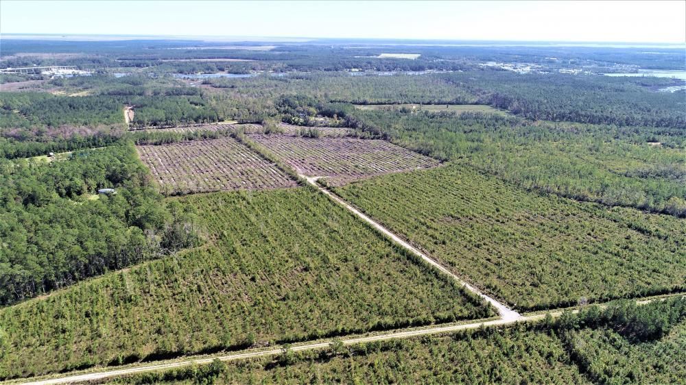 0 Hardesty Loop Road, Newport, NC 28570 | LandWatch