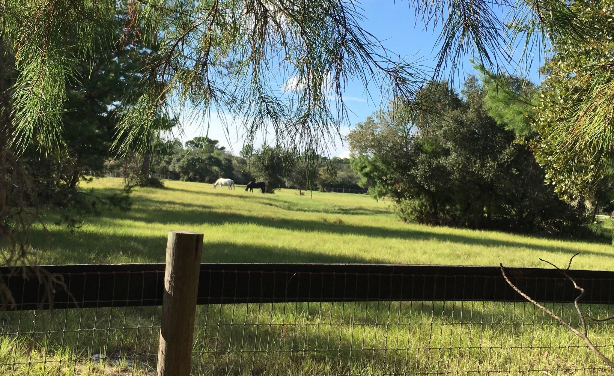 Cedar Key, Levy County, FL Farms and Ranches, Horse Property for sale ...