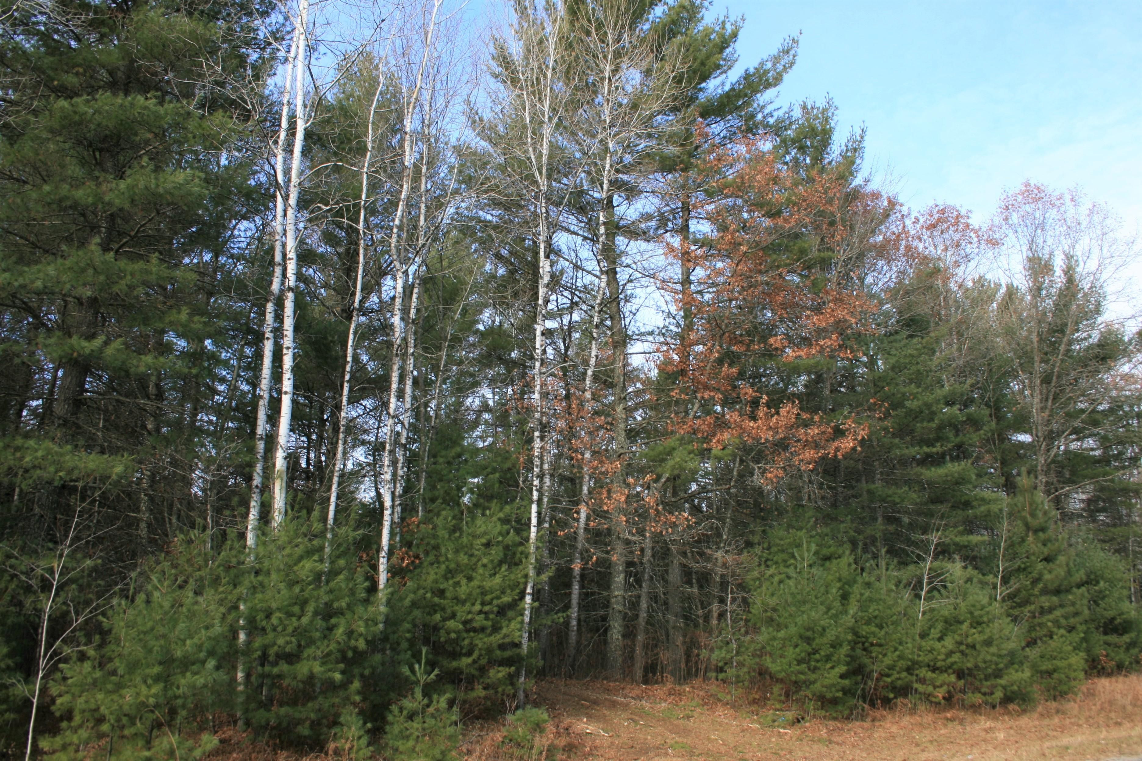 Amberg, Marinette County, WI Recreational Property, Hunting Property ...