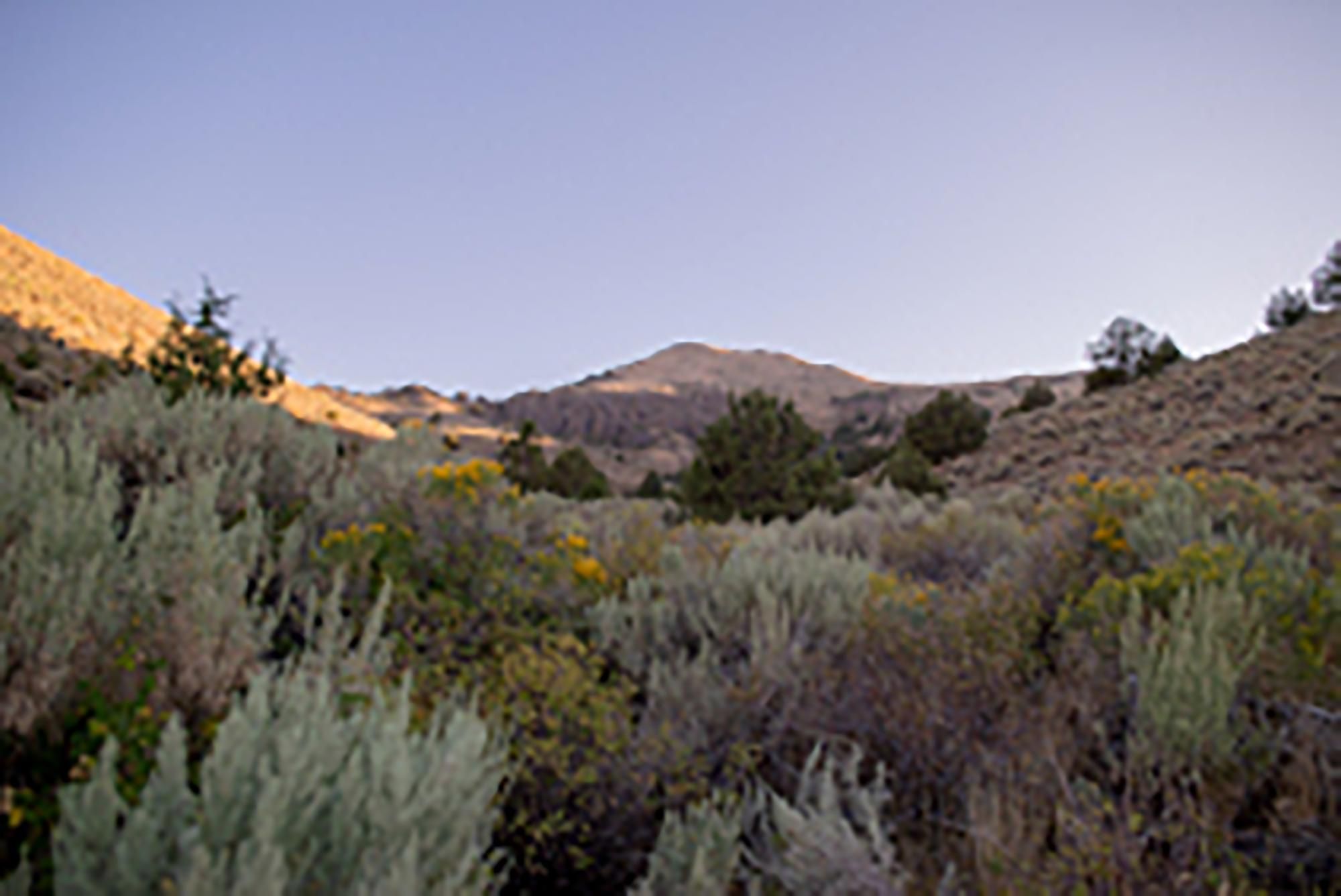 32,401 acres in Ironside, OR, 97908 | MLS: 03318 | LandWatch