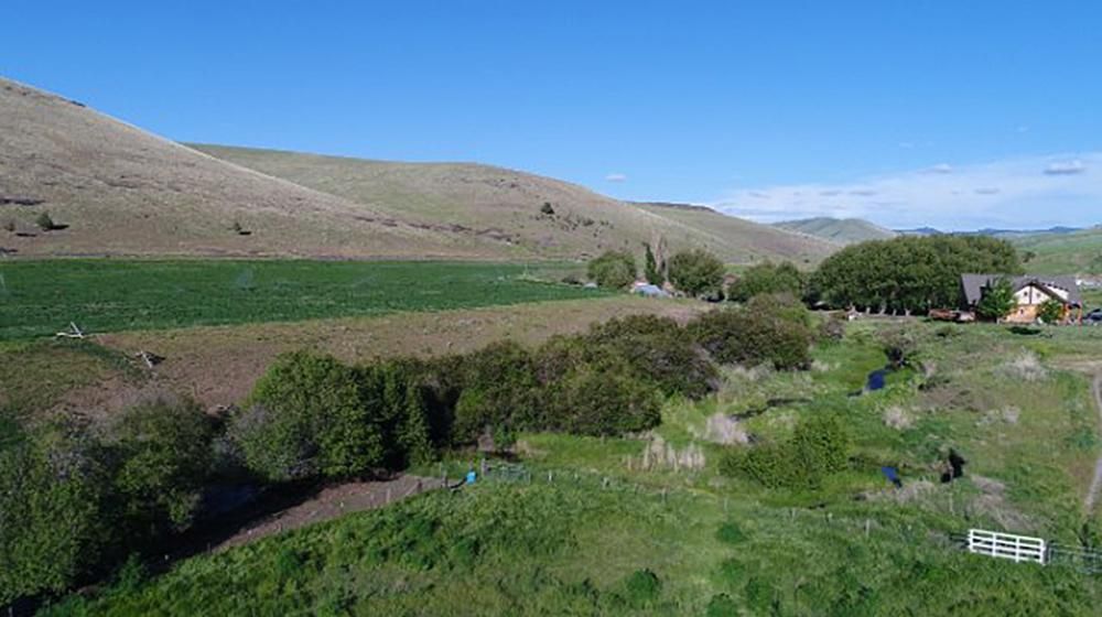 1,258 acres in Heppner, OR, 97836 | MLS: 02617 | LandWatch