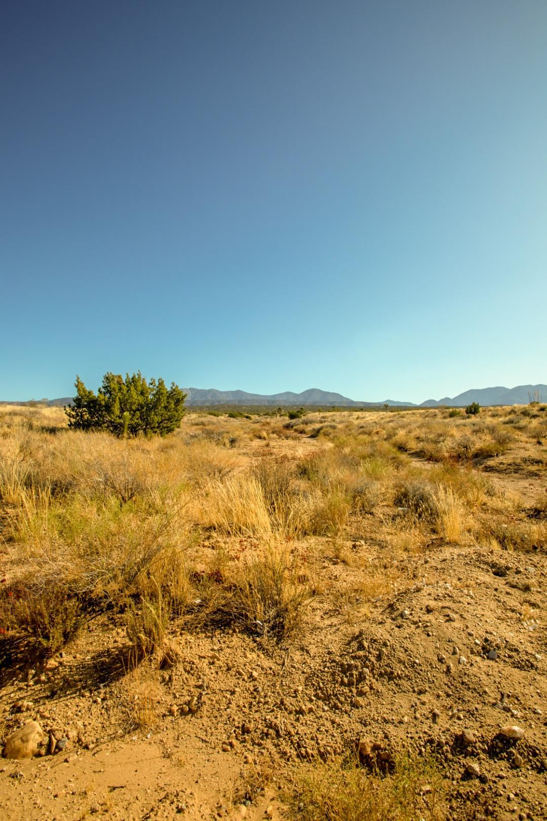 Fort Tejon Road, Llano, CA 93544 | LandWatch