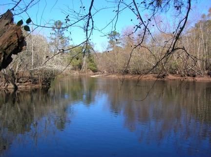 Raybon Road West, Nahunta, GA 31533 | LandWatch