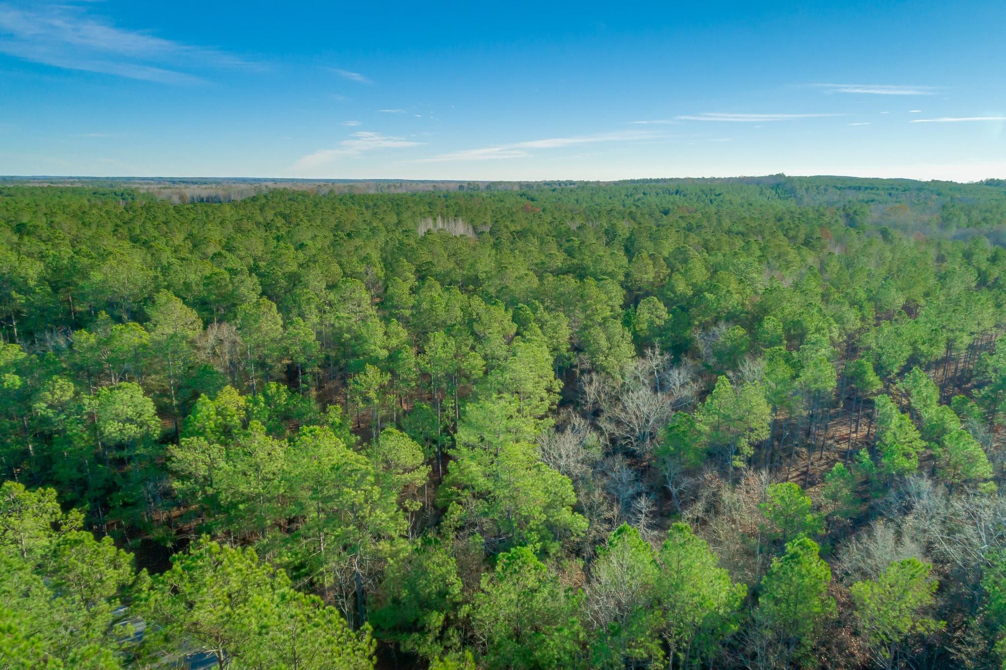 St James Rd, Rembert, SC 29128 | LandWatch