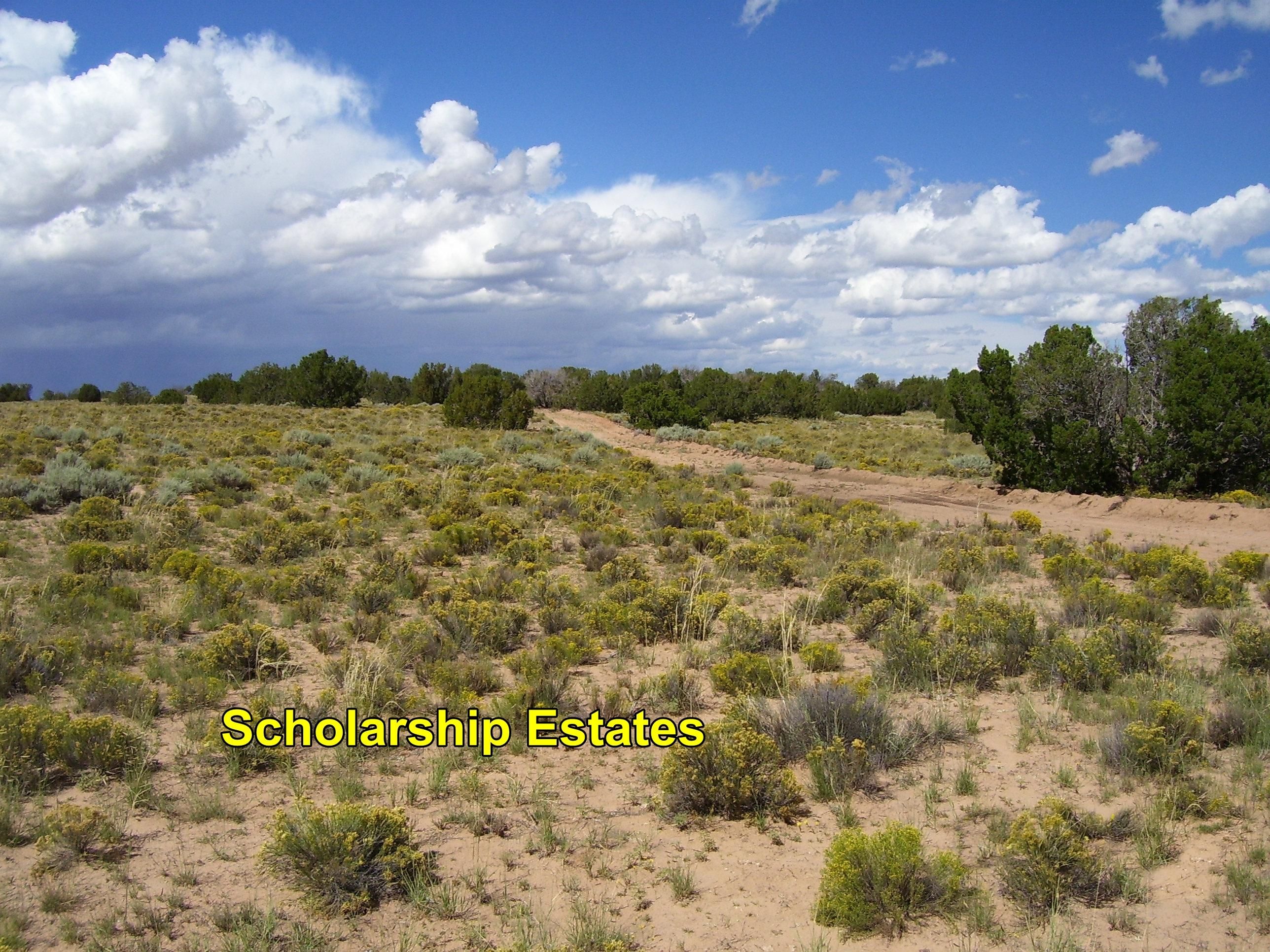 Sanders, Apache County, AZ Recreational Property, Undeveloped Land for ...