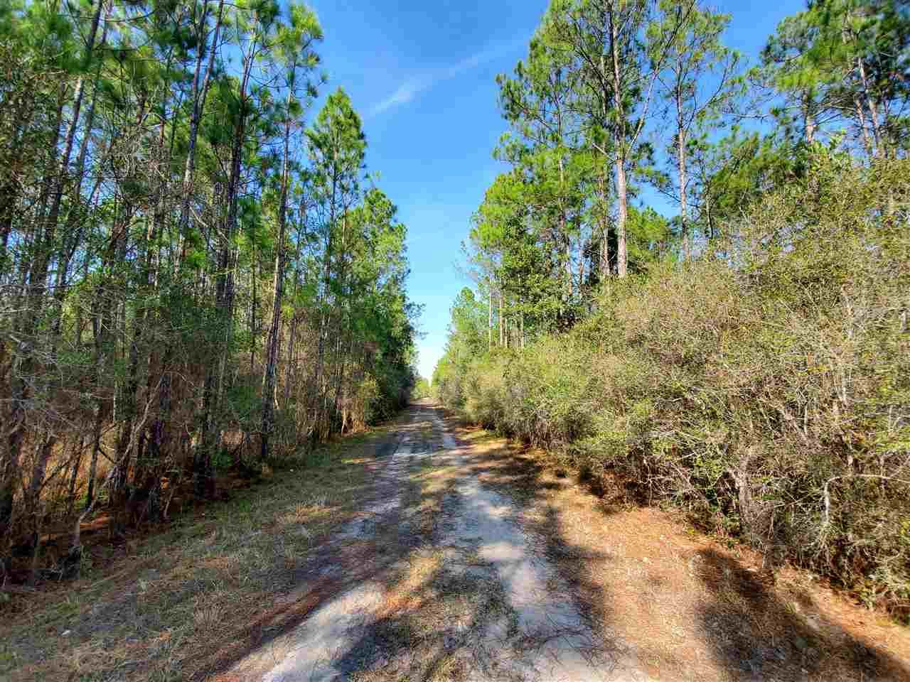 Perry, Taylor County, FL Undeveloped Land for sale Property ID ...