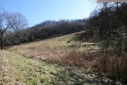 Franklin, Williamson County, TN Farms and Ranches, Horse Property for ...