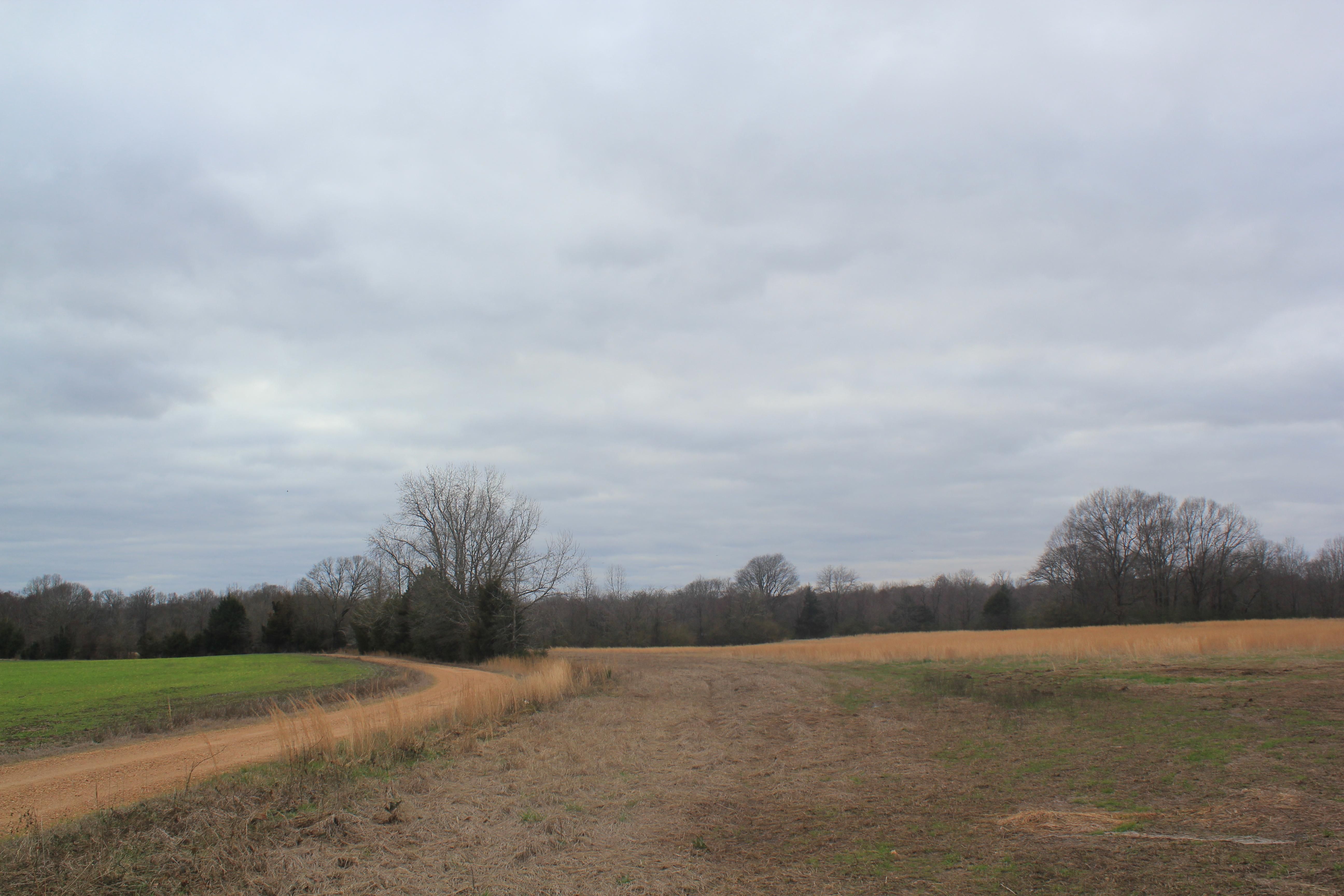 Brownlee Road, Potts Camp, MS 38659 | MLS: 327693 | LandWatch