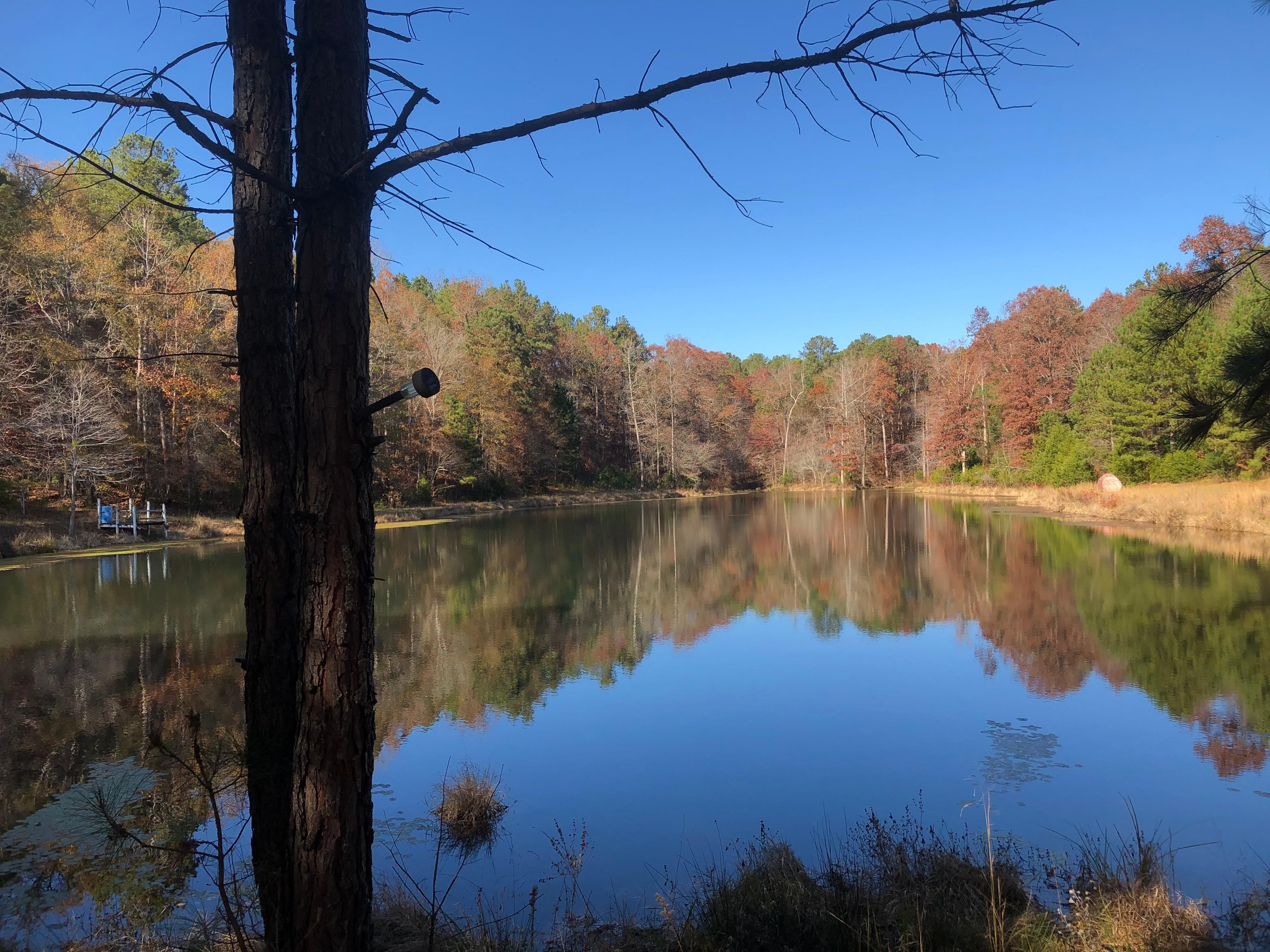 469.98 acres in Shady Dale, GA, 31085 | LandWatch