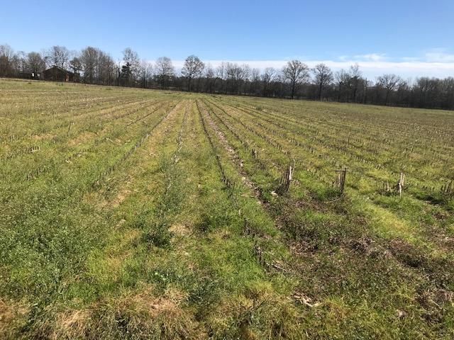 107 acres in Baskin, LA, 71219 | LandWatch