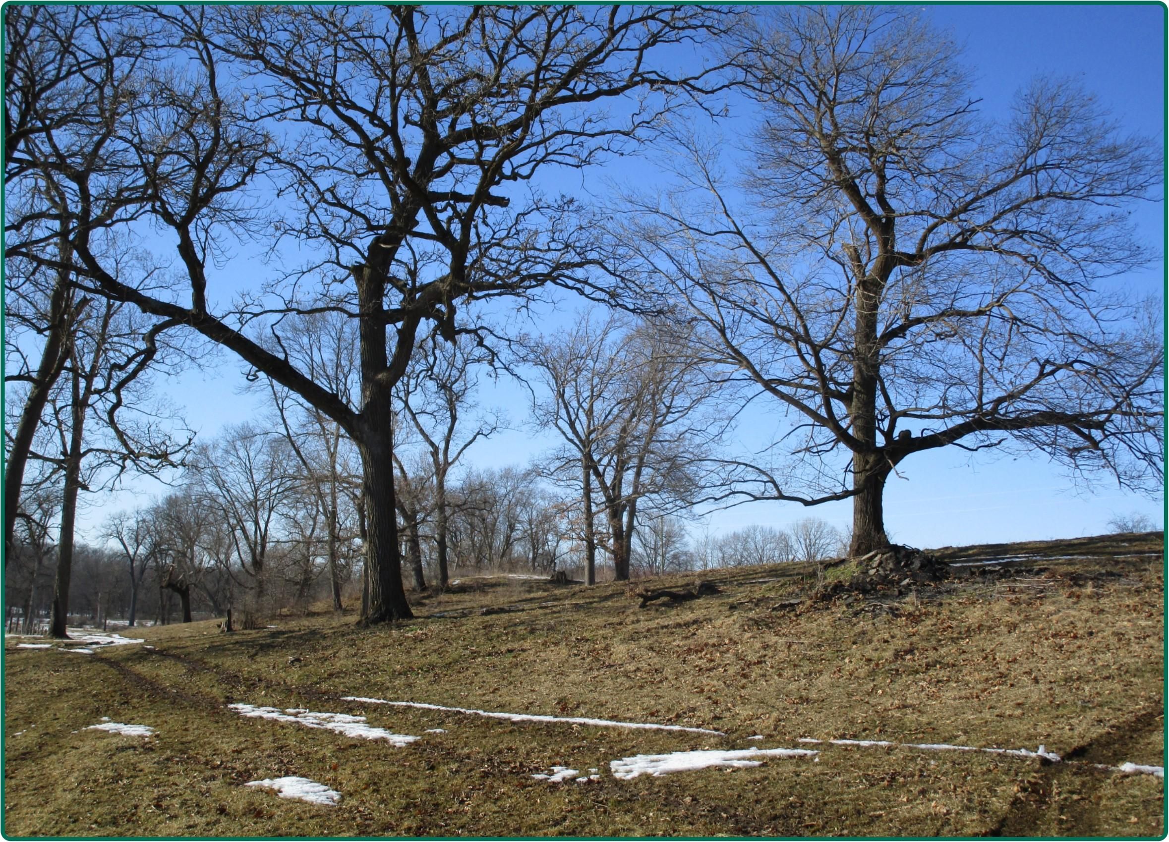 Big Creek Rd, Bertram, IA 52403 | LandWatch