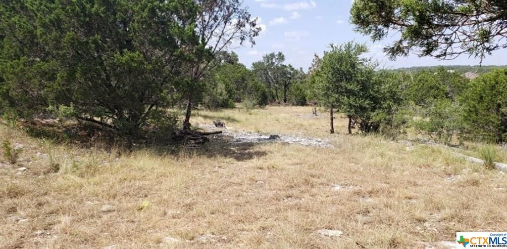 Spring Branch, Comal County, TX Undeveloped Land, Homesites for sale ...
