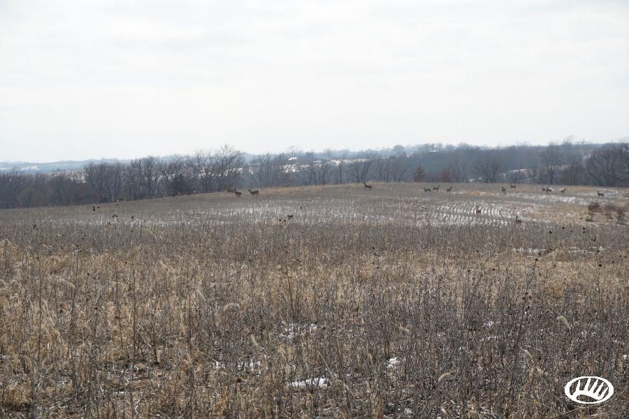 Highway D, Mill Grove, MO 64679 | LandWatch