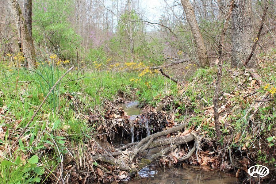 Mize, Morgan County, KY Recreational Property, Timberland Property ...