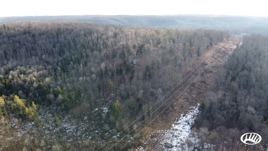 Spring Creek, Warren County, PA Recreational Property, Timberland ...