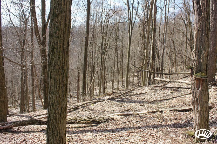 Route 1/20, Lot #WP001, Littleton, WV 26581 | LandWatch