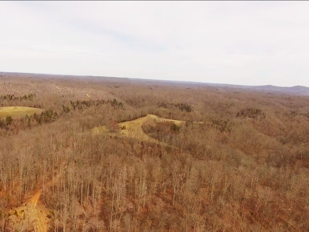218 acres in Moss, TN, 38575 | MLS: The Divide 13 | LandWatch