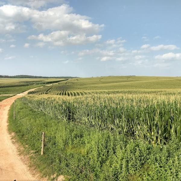 Shell Bluff Landing Road, Waynesboro, GA 30830 | LandWatch