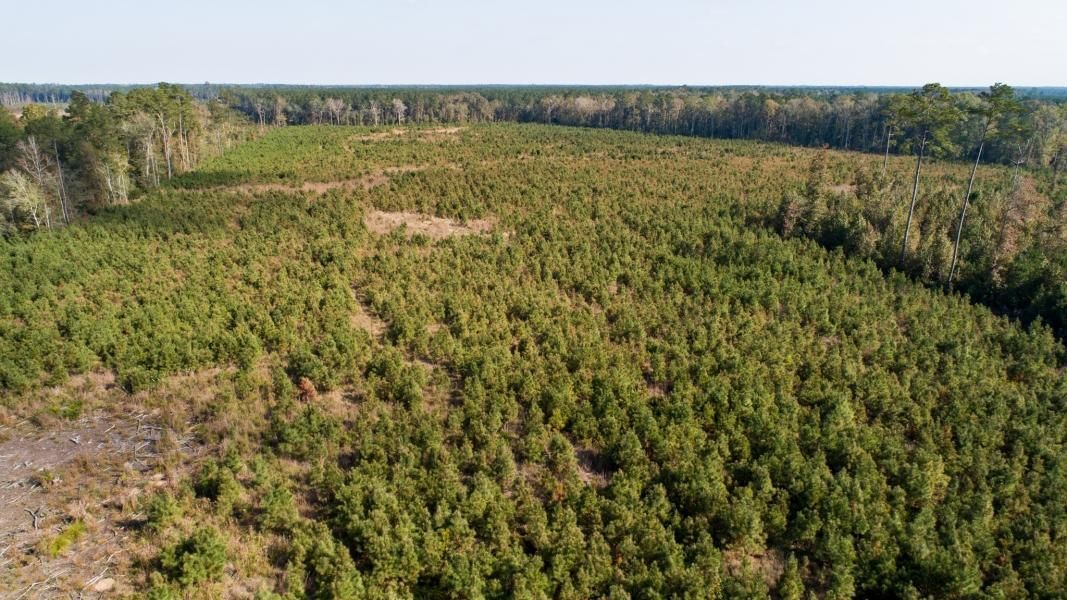 Round O, Colleton County, SC Recreational Property, Timberland Property ...