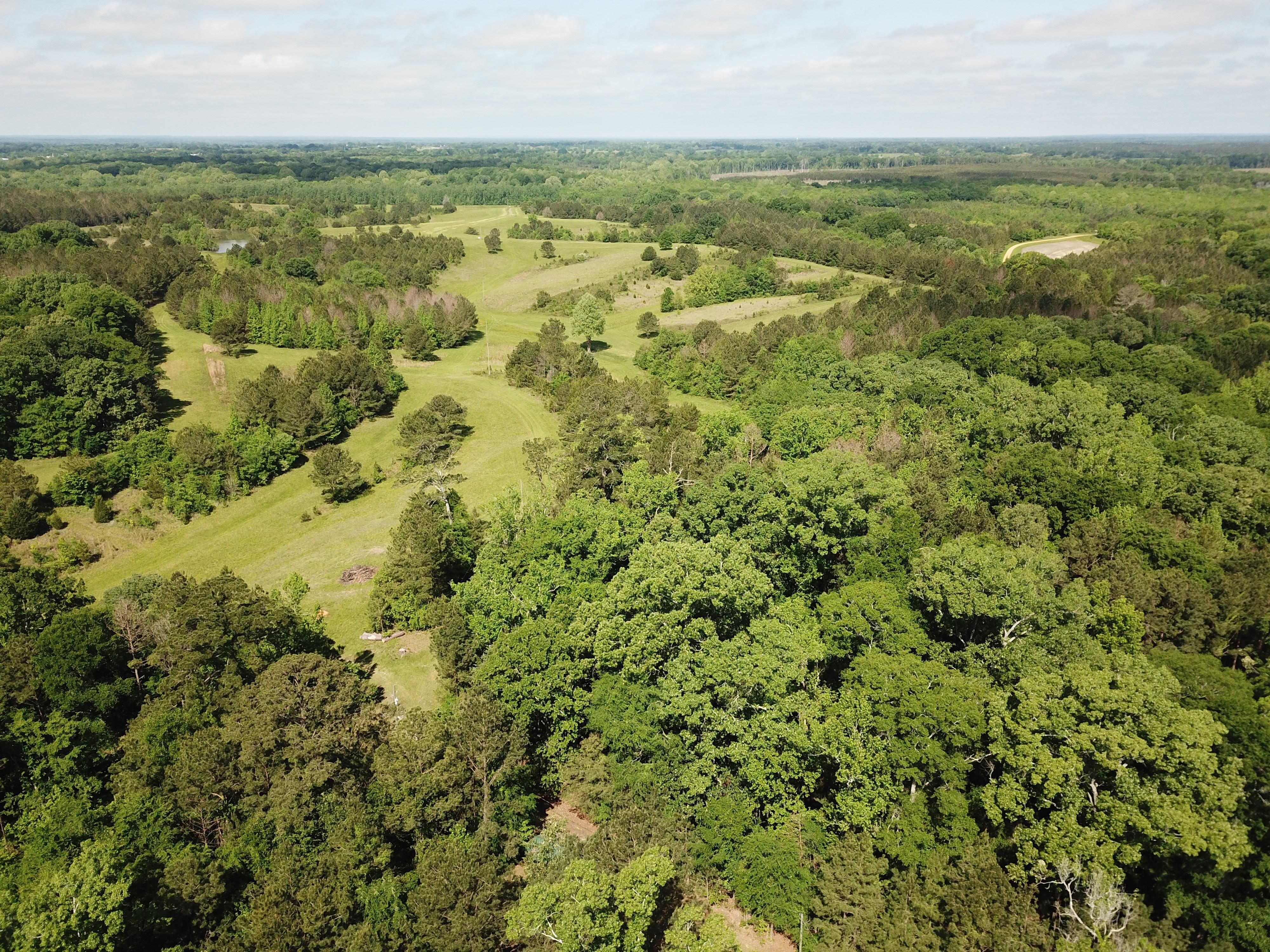 Highway 31, Letohatchee, AL 36047 | LandWatch