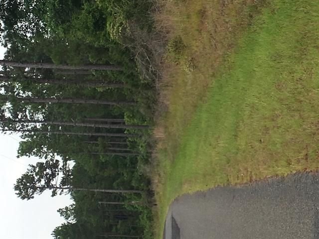 Ringgold, Bienville Parish, LA Recreational Property, Timberland ...