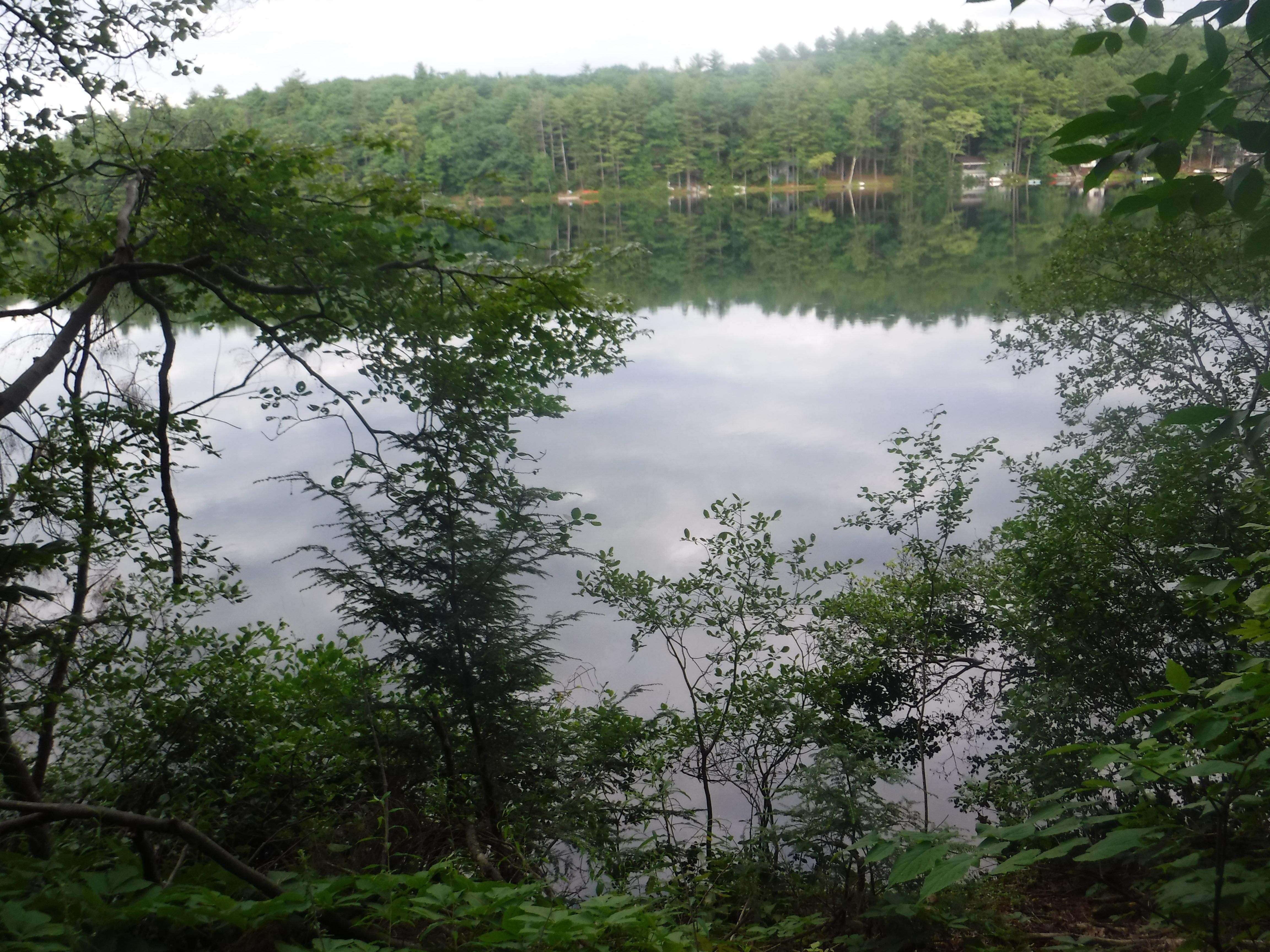 Lower Perch Pond Road, Benson, VT 05743 | LandWatch